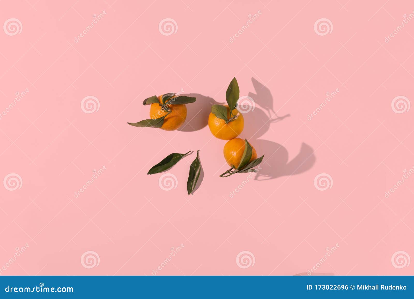 Simple Abstract Bunch of Fresh Orange Mandarin Flat Lay with Copy Space ...