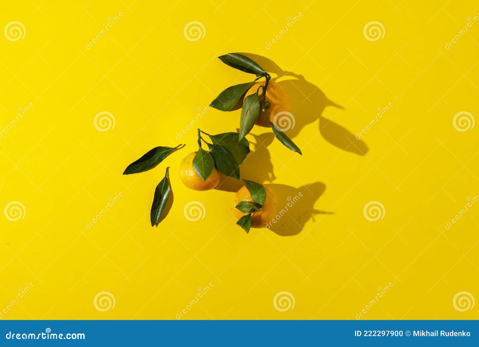 Simple Abstract Bunch of Fresh Orange Mandarin Flat Lay with Copy Space ...