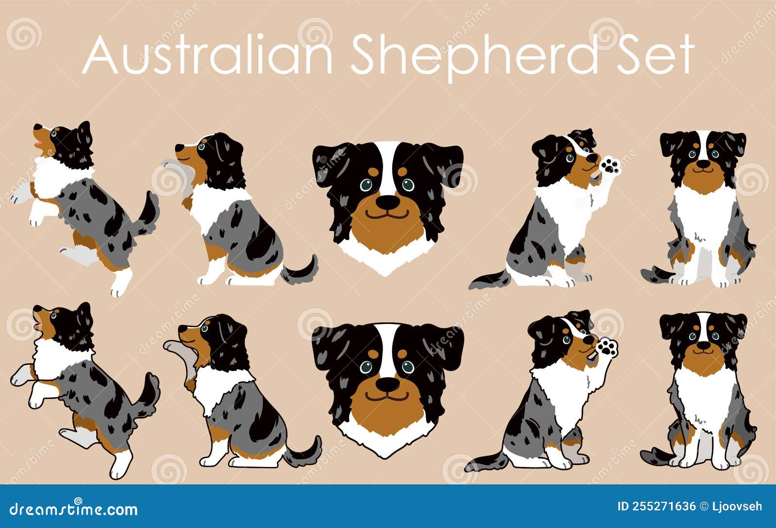 Simple and Adorable Australian Shepherd Illustrations Set Stock Vector ...