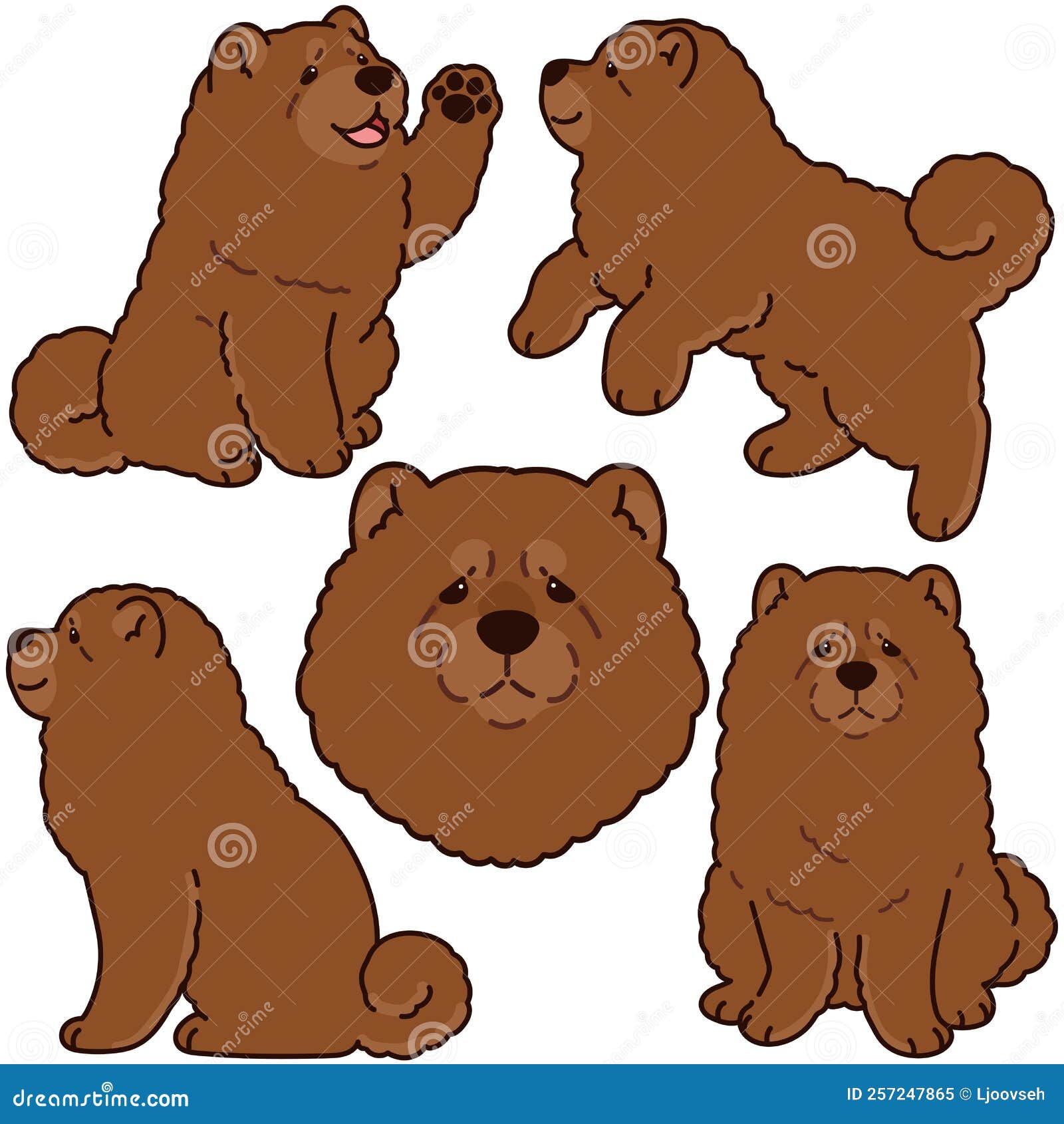 Simple Chow Chow Dog Silhouette Sitting In Front View With Details ... Simple Chow Chow Dog Silhouette Sitting In Front View With Details ...