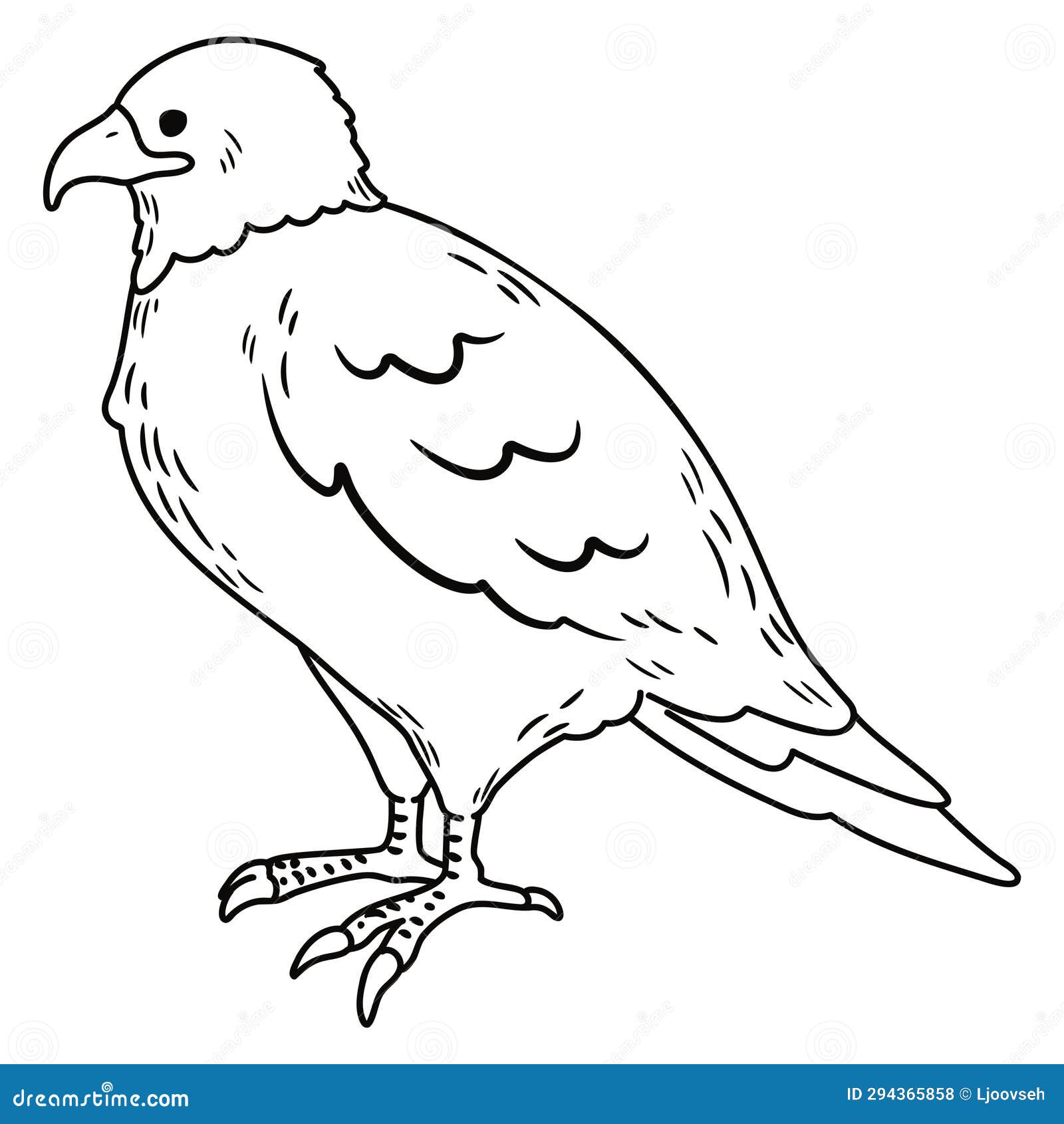 Simple and Adorable Eagle Illustration with Outlines only Stock Vector ...