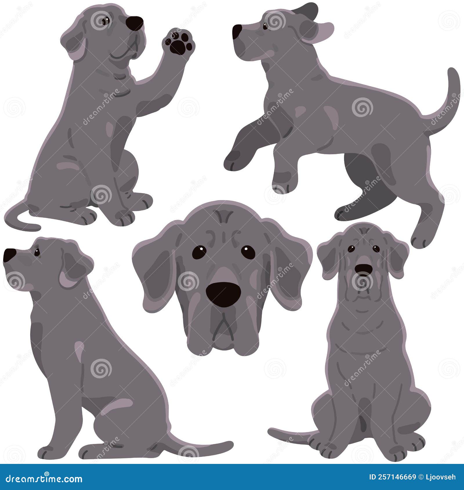 Simple and Adorable Great Dane Illustrations Flat Colored Stock Vector ...