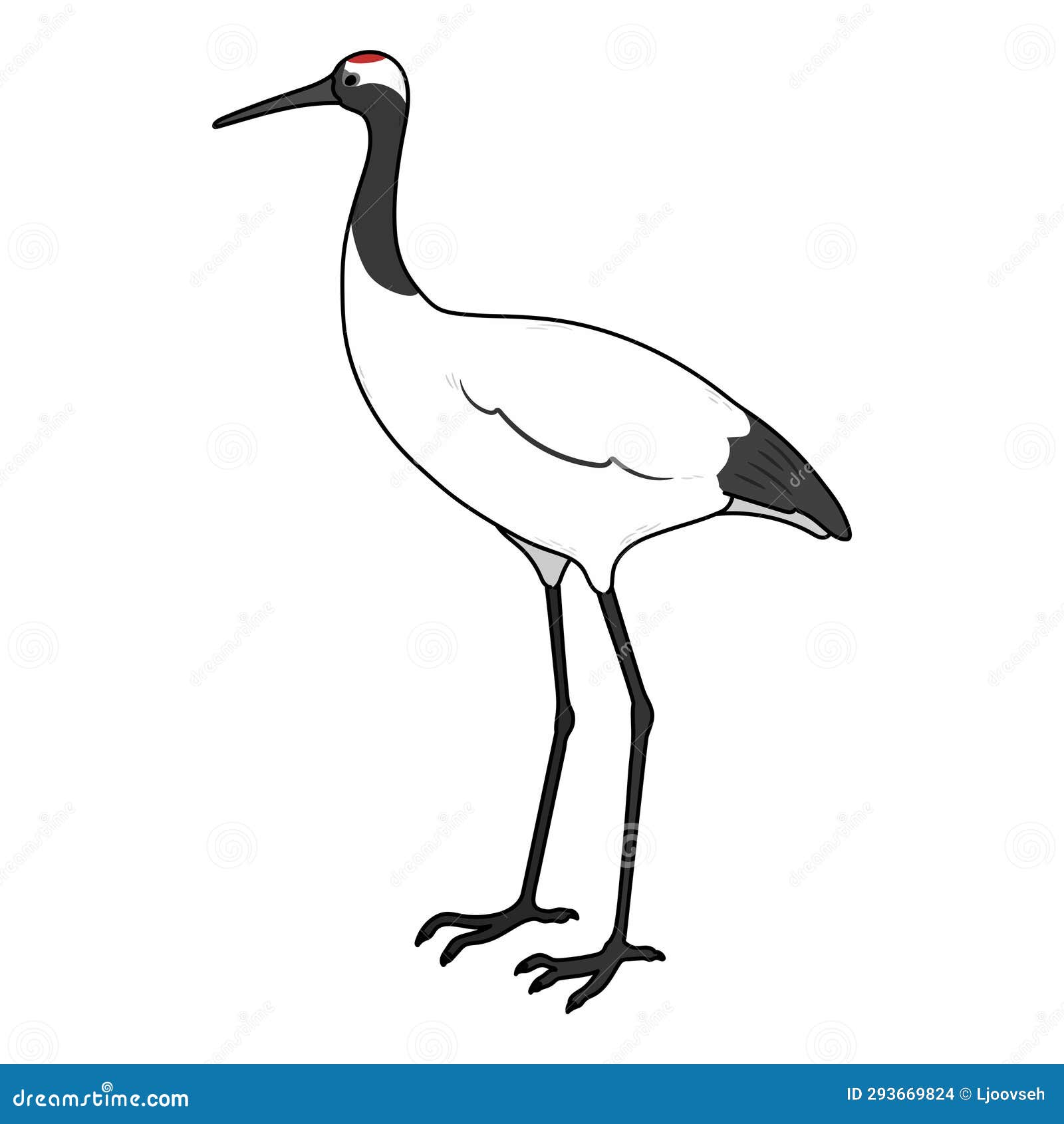 Simple and Adorable Outlined Red-crowned Crane Illustration Stock ...