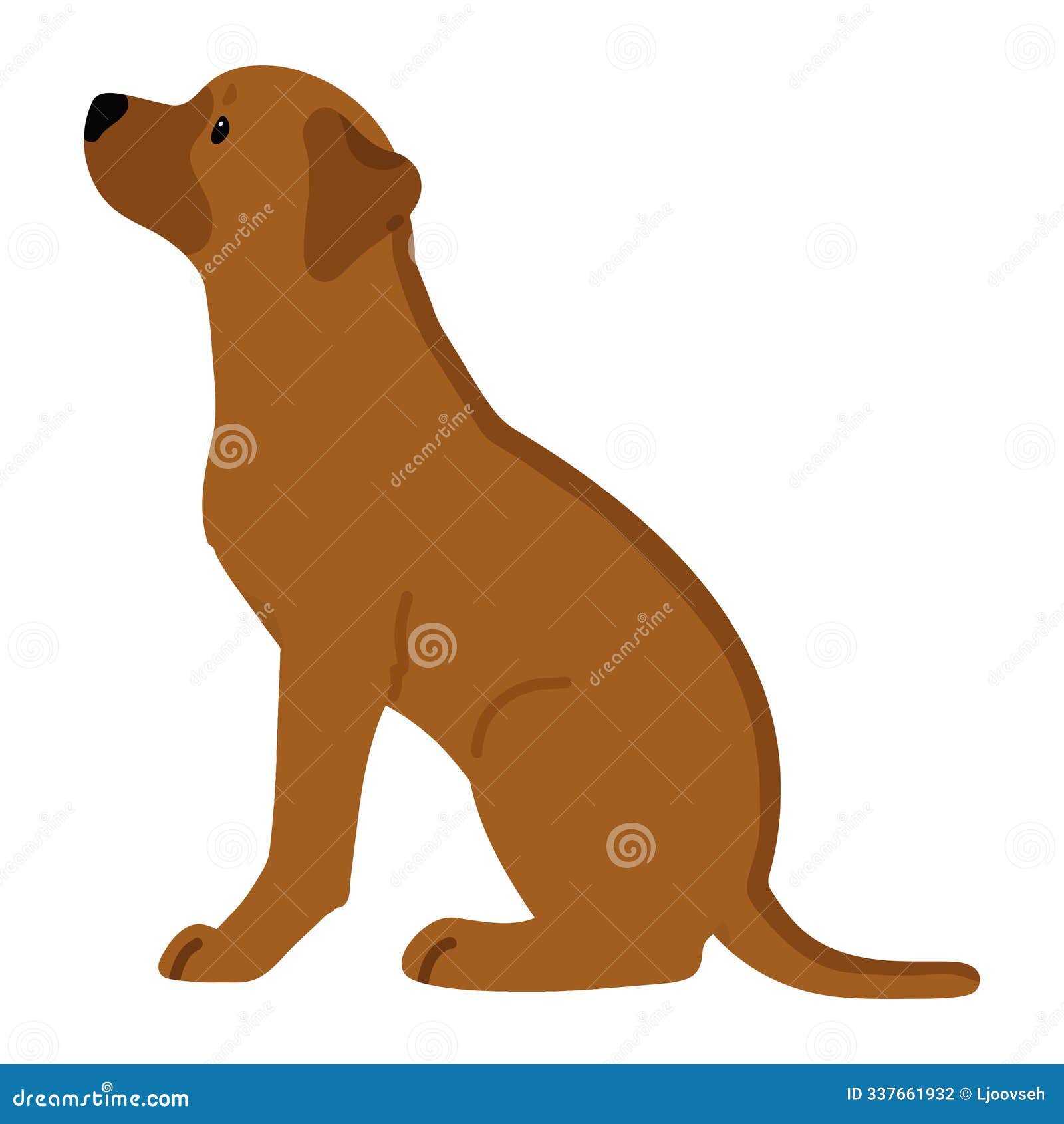 Simple and Adorable Rhodesian Ridgeback Sitting in Side View Stock ...
