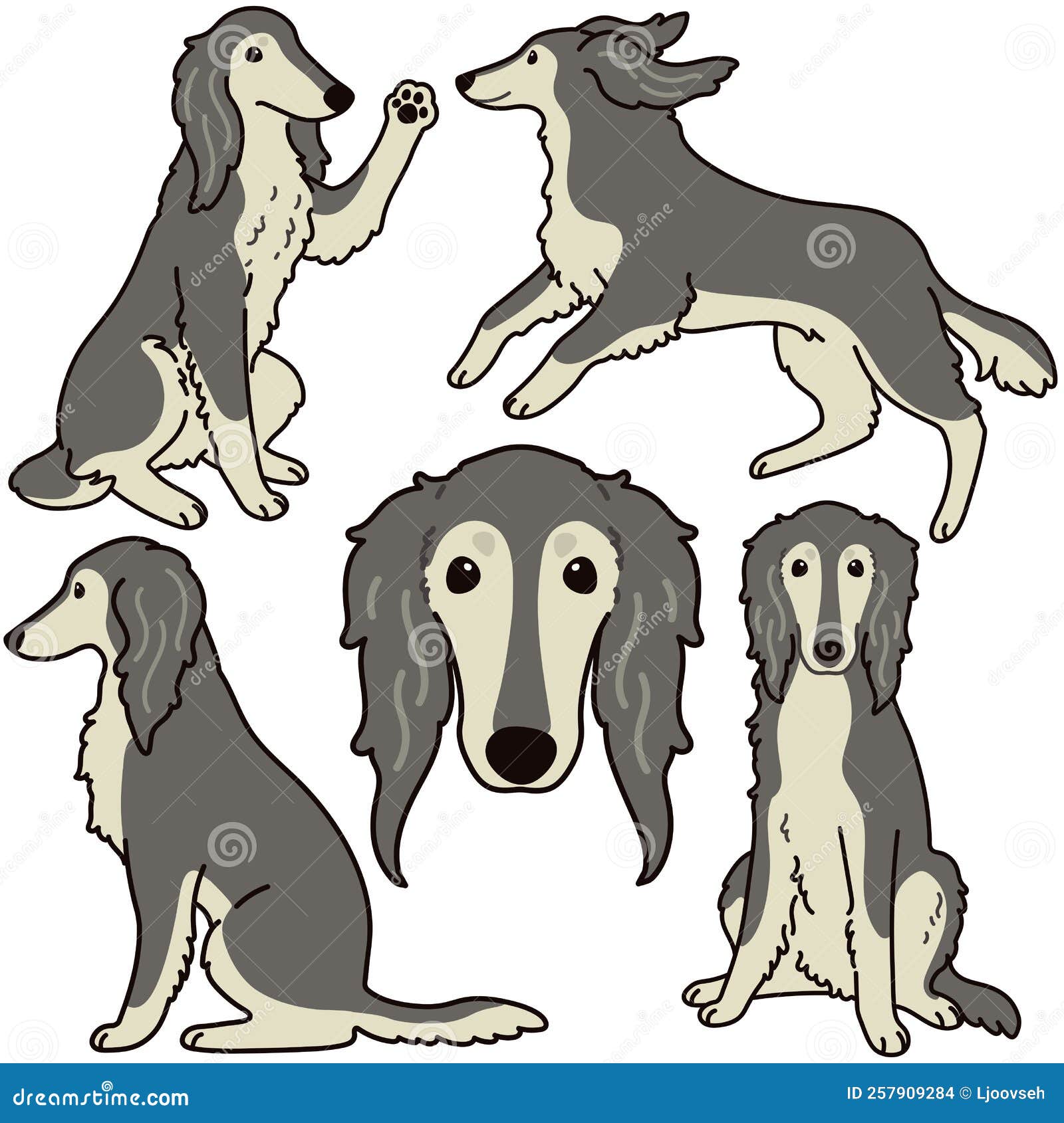 Simple And Adorable Saluki Dog Illustrations | CartoonDealer.com #257909284