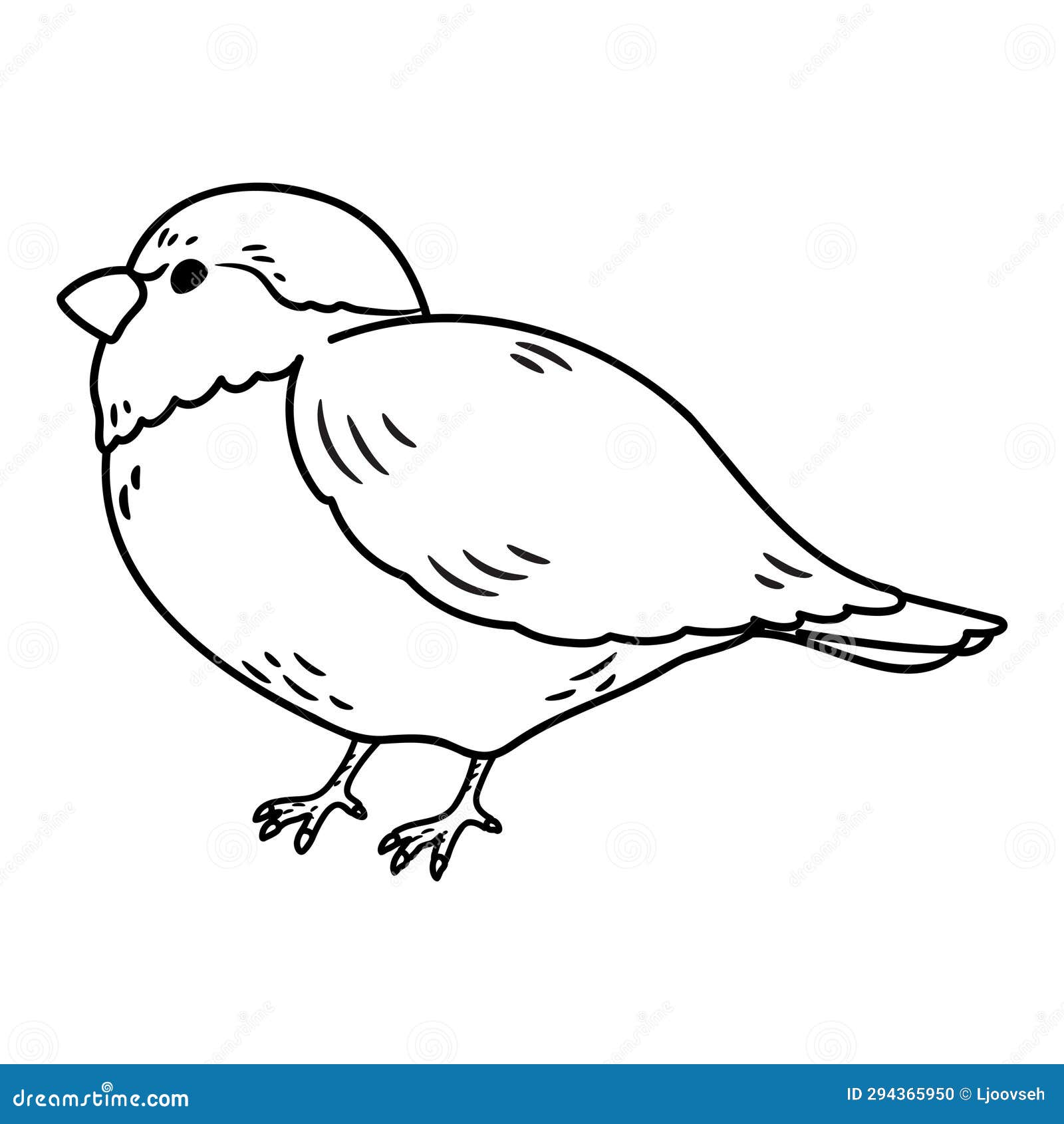 Simple and Adorable Sparrow Illustration with only Outlines Stock ...