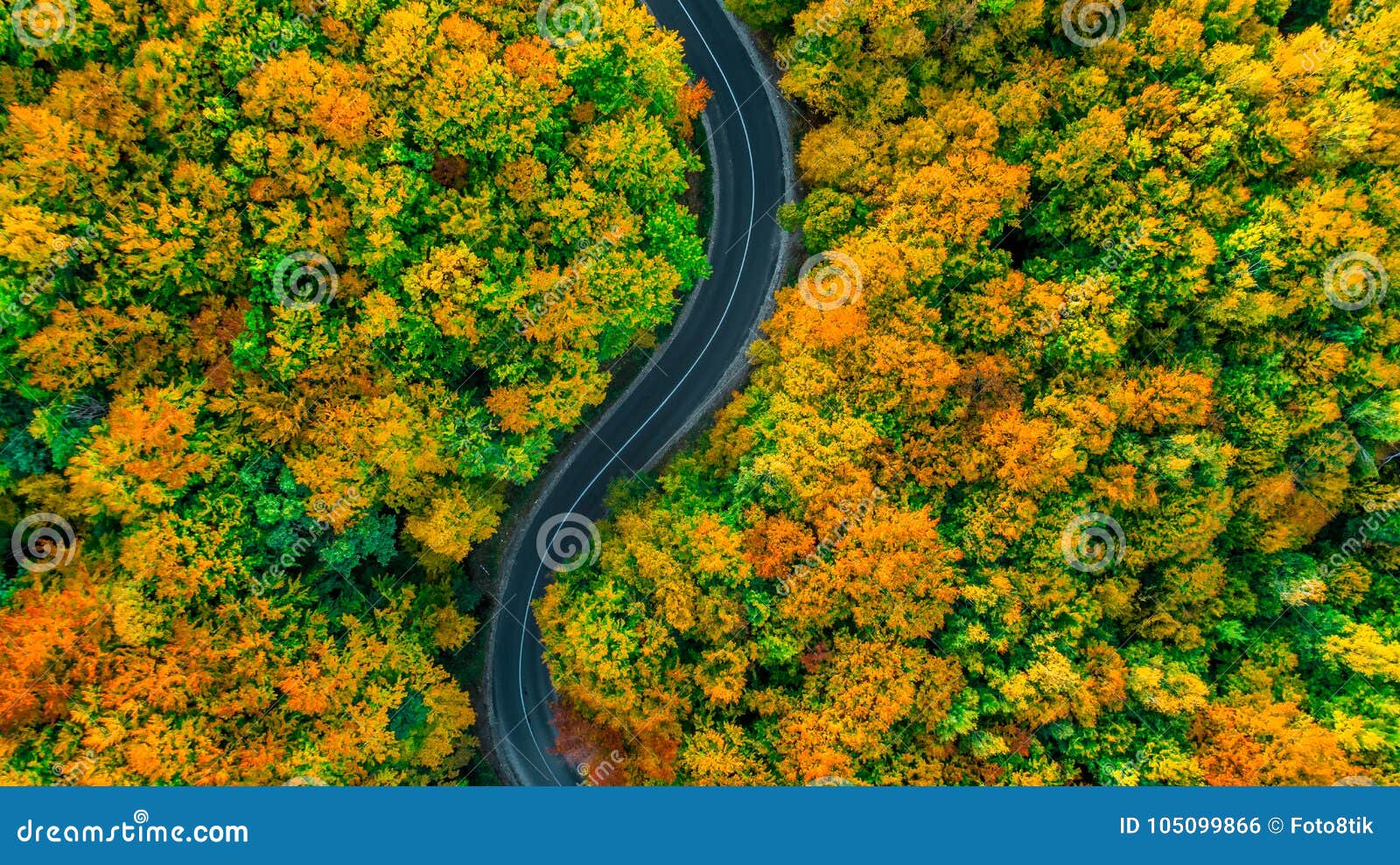 Simple Aerial View of Road in Fall Colored Woods Stock Photo - Image of ...