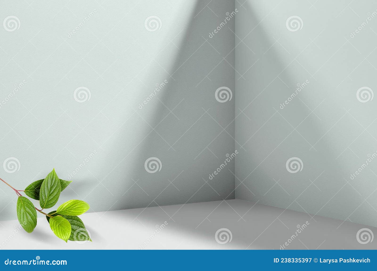Simple Background Image - Perspective of Corner of Room with Shadows ...