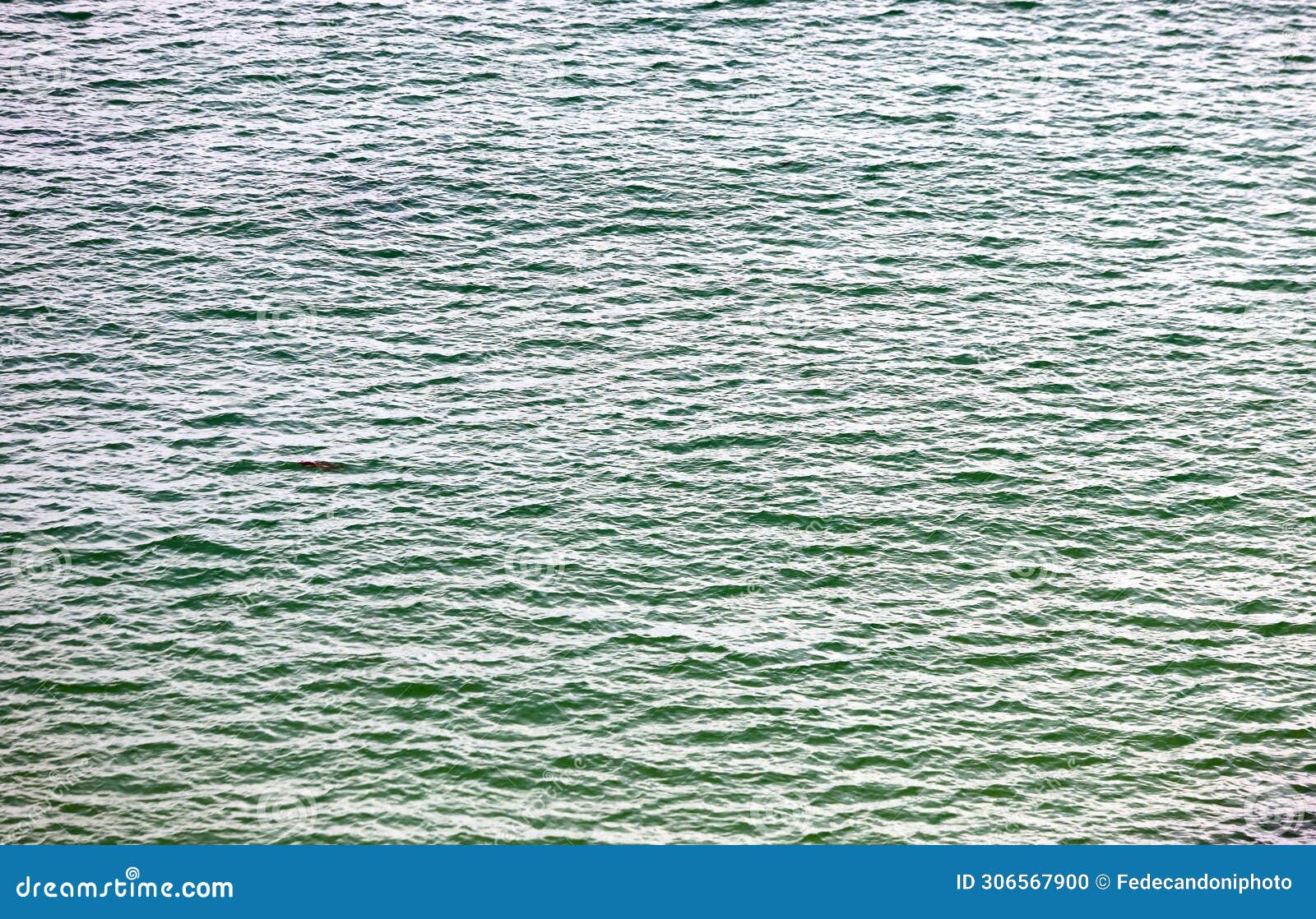 Simple Background of Light Blue Sea Water without People Stock Photo ...