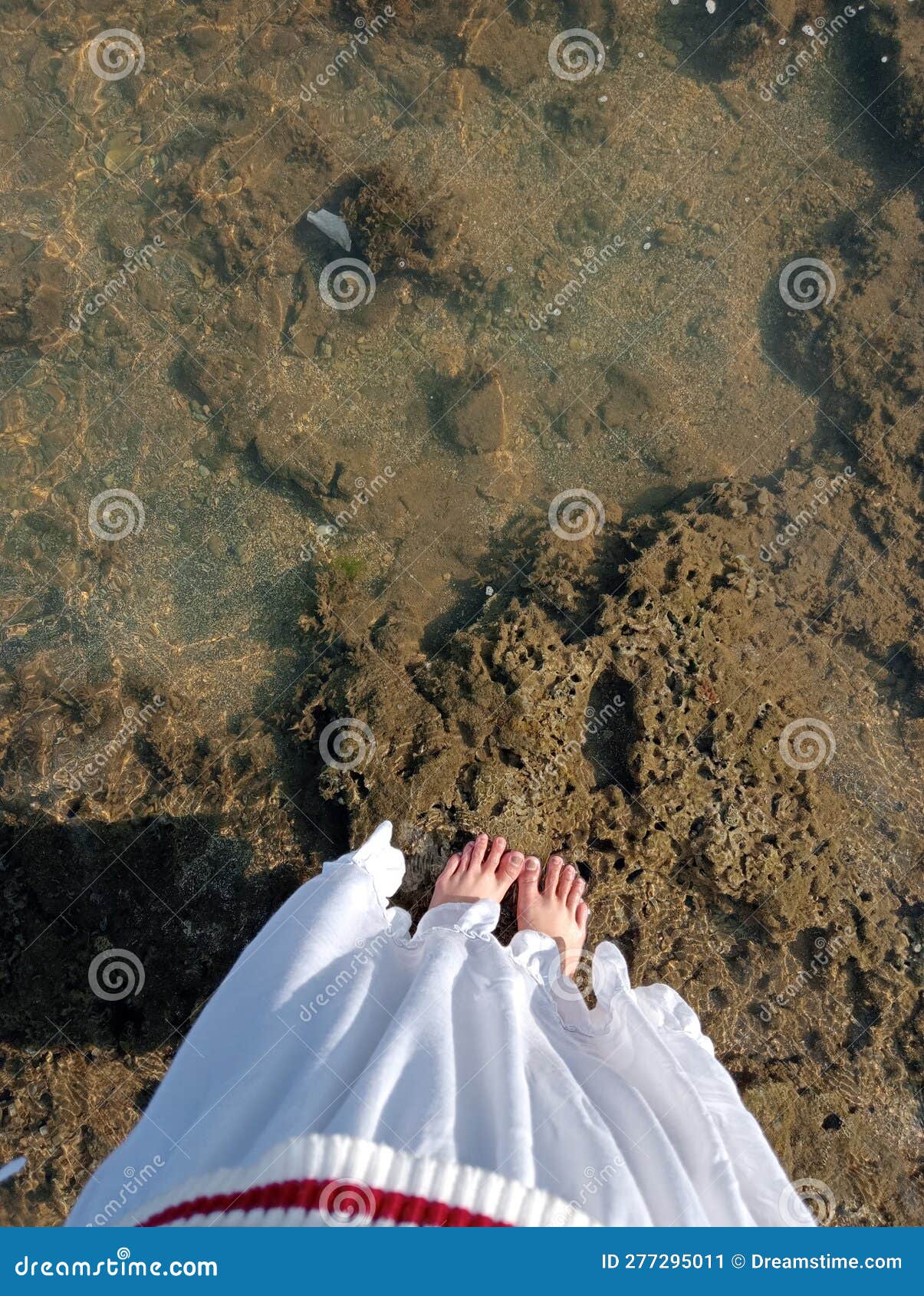 Simple but beautiful stock image. Image of beach, aesthetics - 277295011