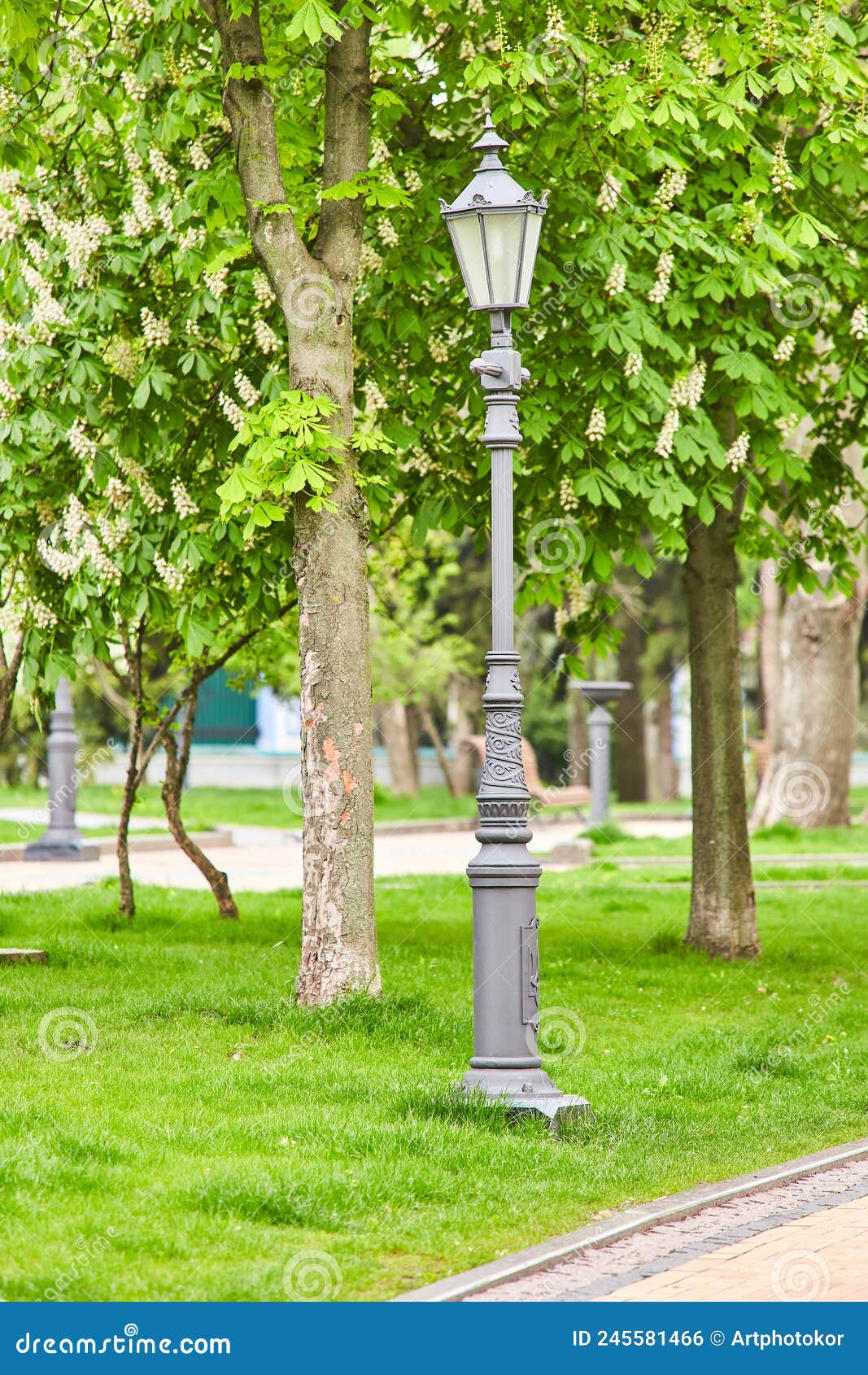 A Simple but Beautiful Lamppost in a City Park in Spring Stock Photo ...