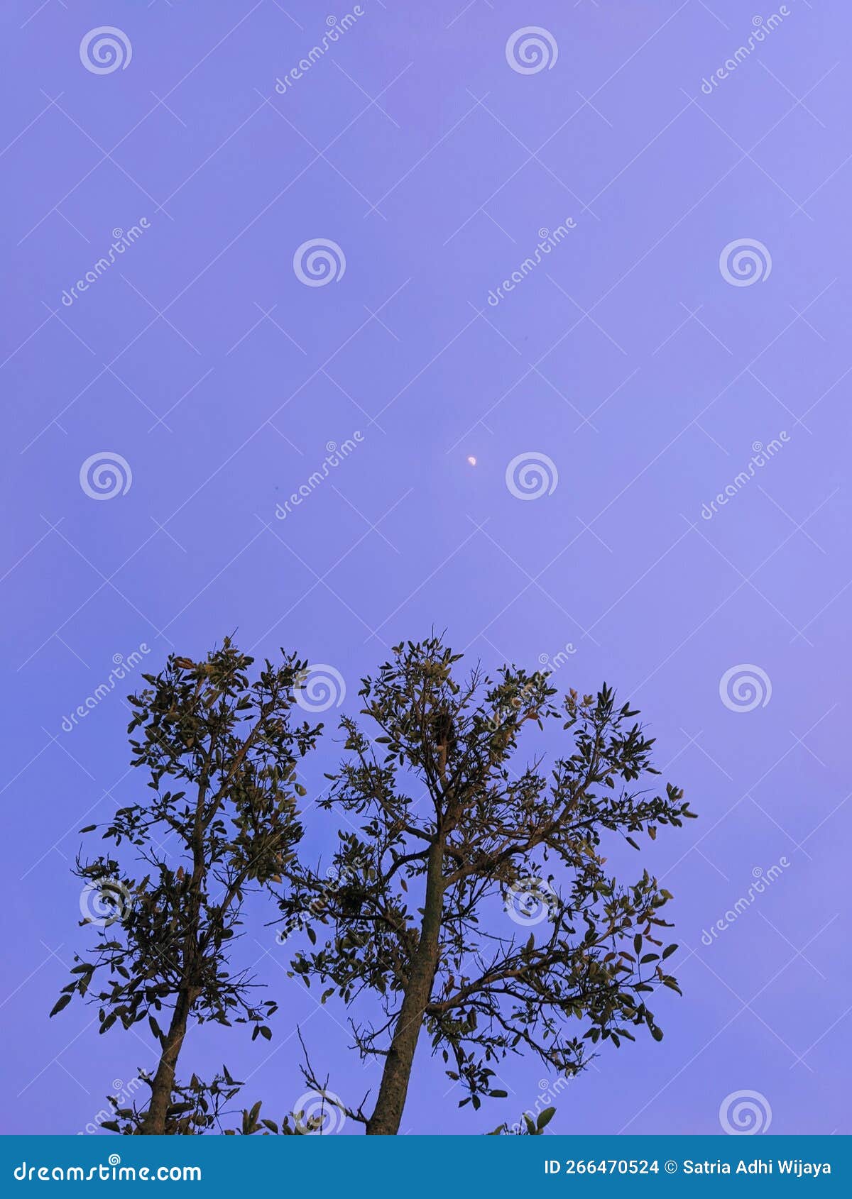 Simple but Beautiful Scenery Stock Photo - Image of simple, moon: 266470524