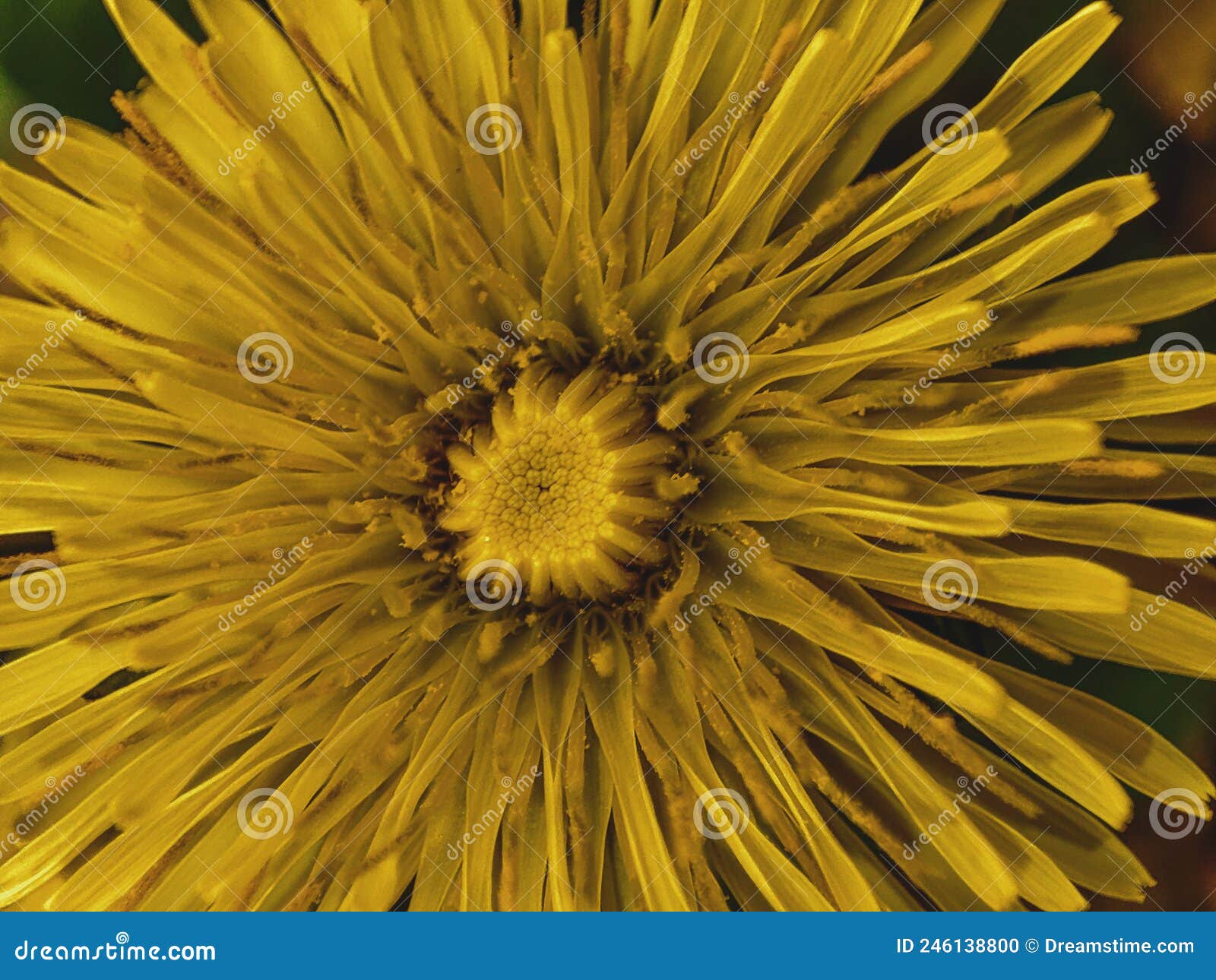 Simple Beauty of a Nature, Resembles Life Stock Photo - Image of nature ...