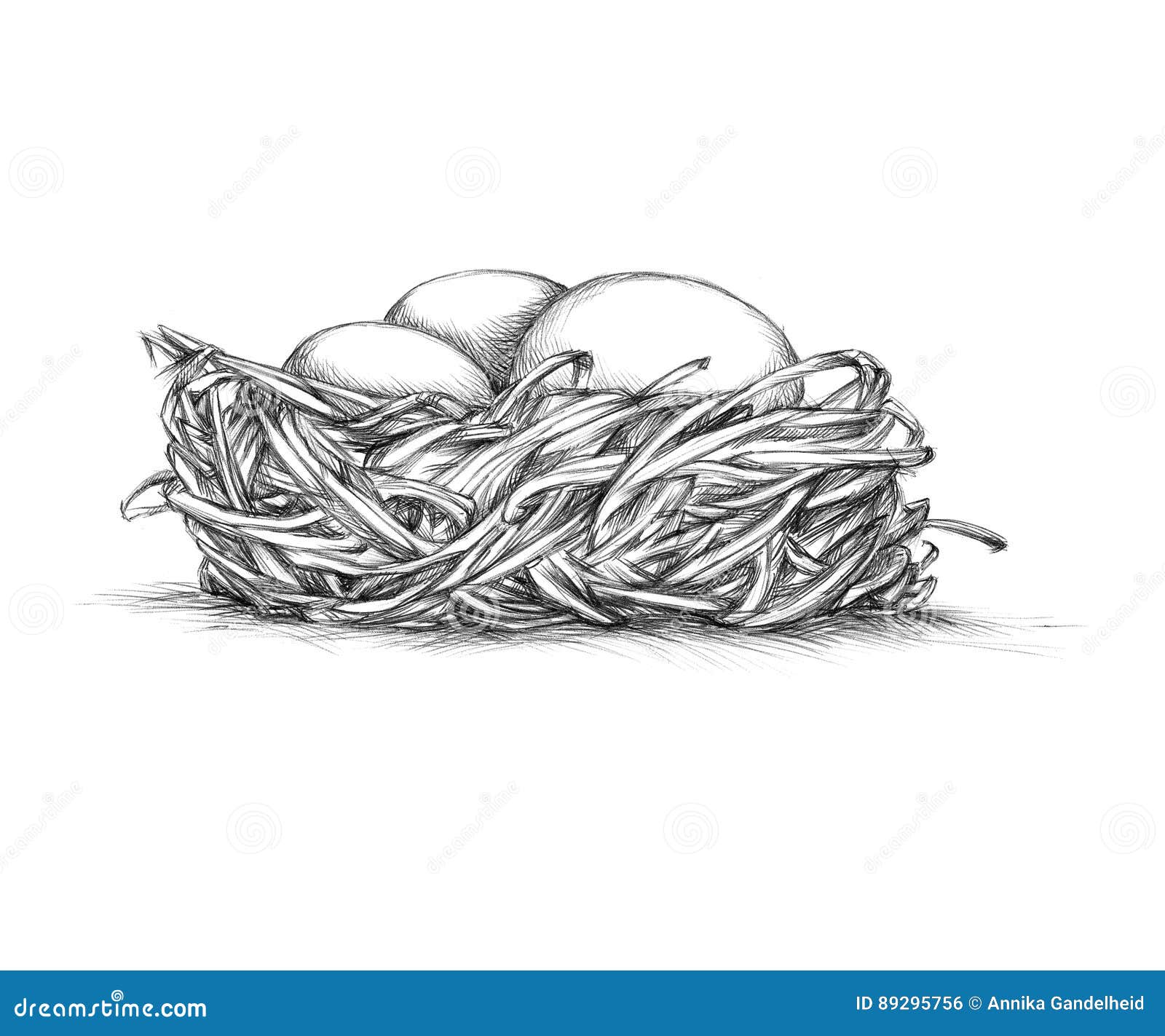 Simple Bird Nest from the Front Stock Illustration - Illustration of ...