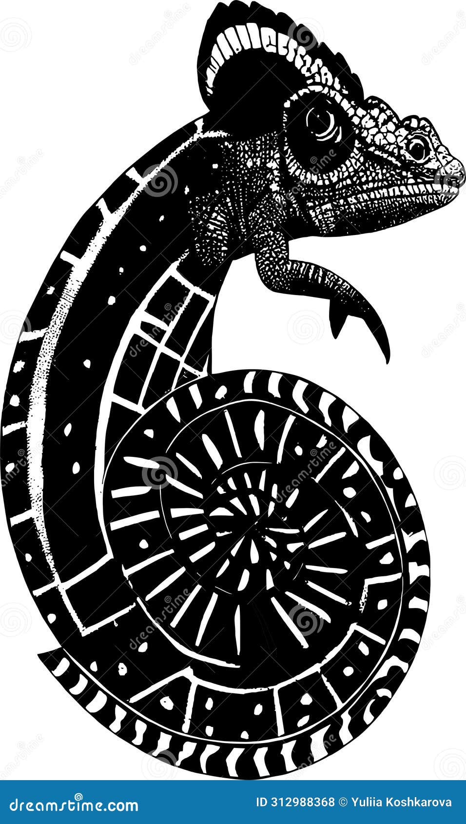 Simple Black Outline Drawing Chameleon, Isolated Element Stock Photo ...