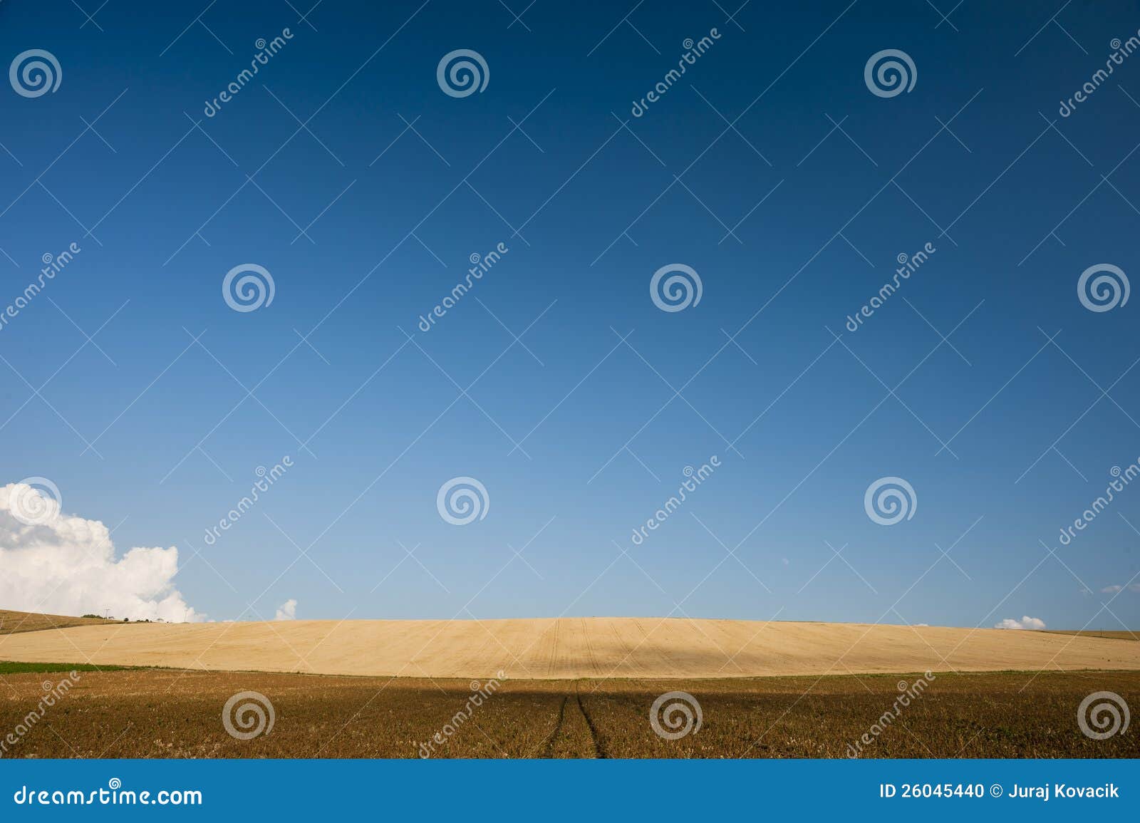 Simple brown horizon stock photo. Image of simple, brown - 26045440