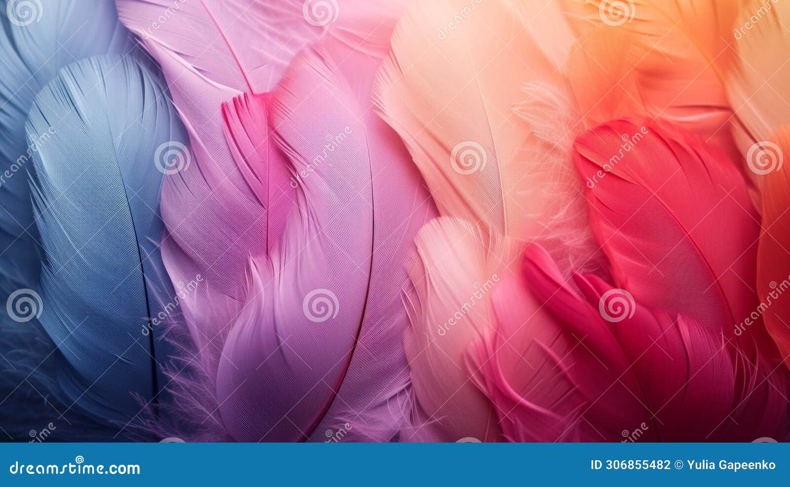 Simple yet Captivating Background Featuring a Spectrum of Feathers ...