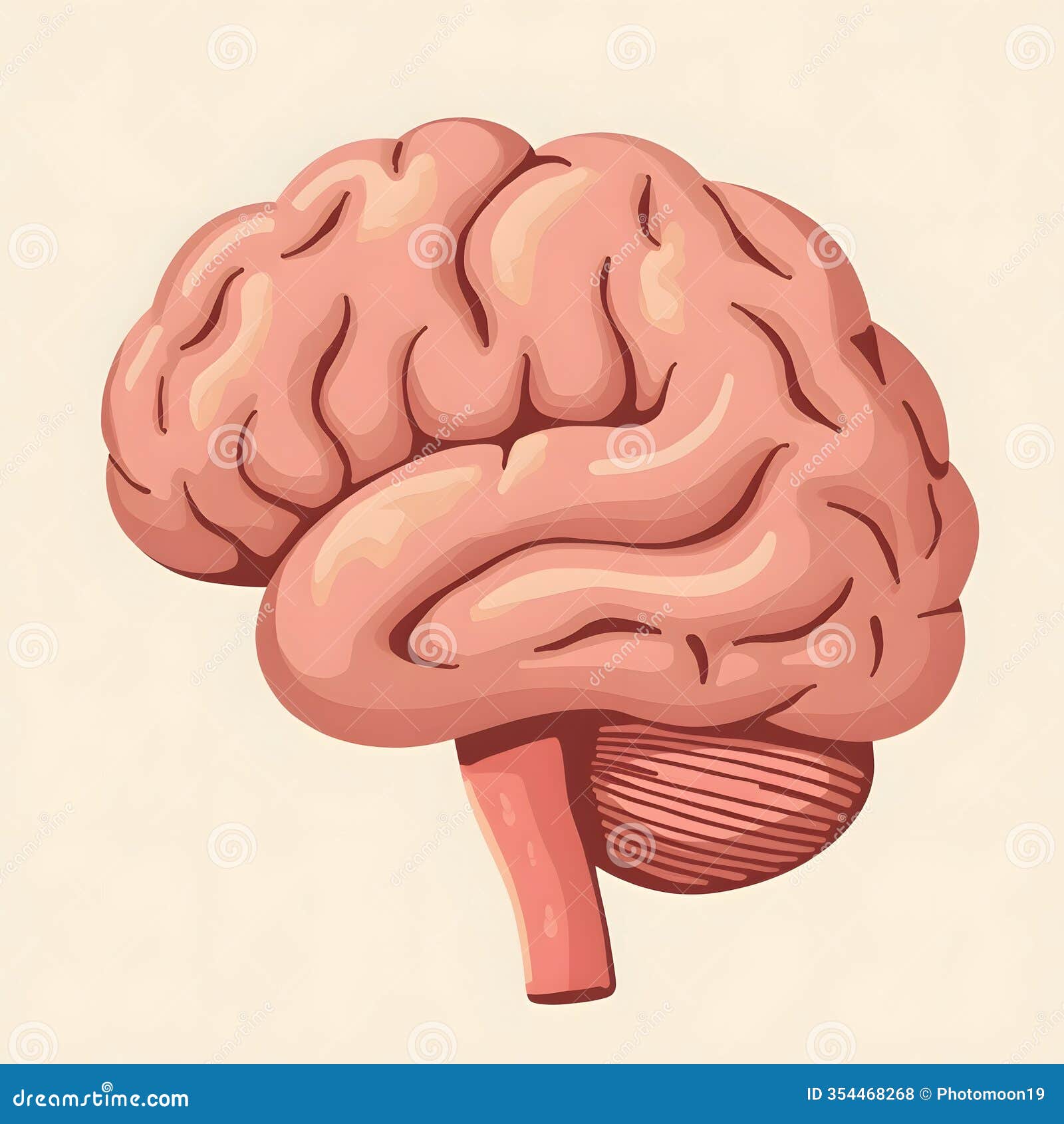 Simple Cartoon Style Human Brain Illustration Stock Illustration ...