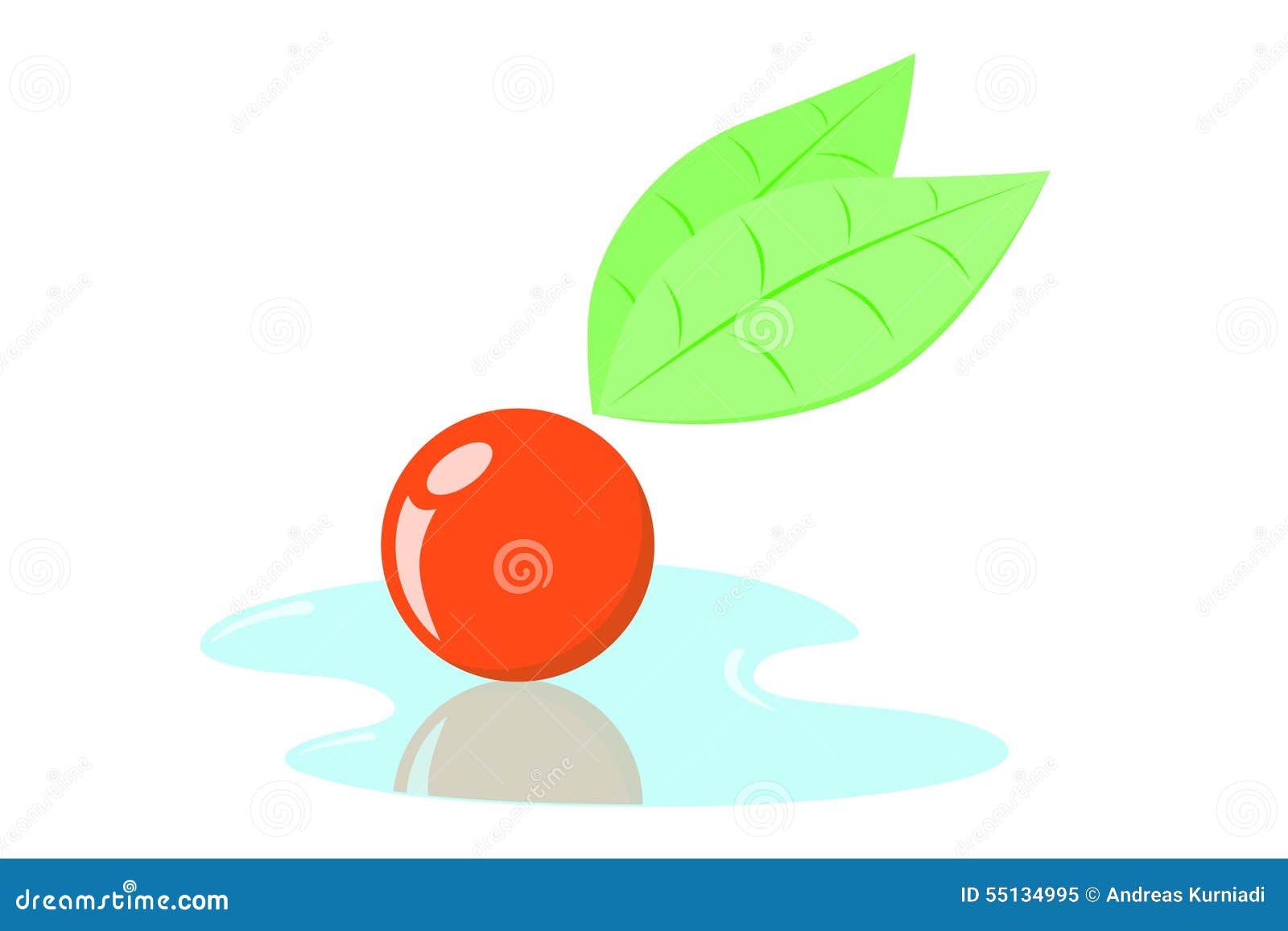 Simple Cherry stock vector. Illustration of vector, cherry - 55134995