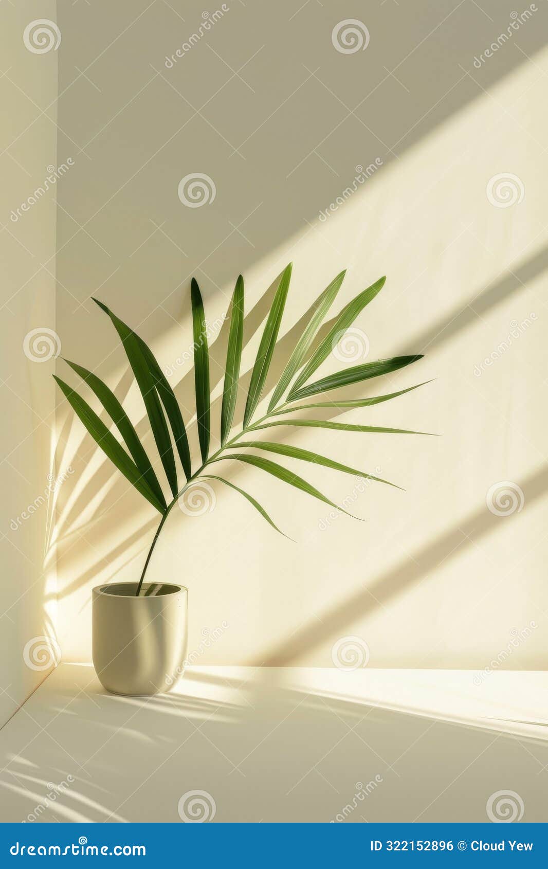 Simple, Clean Background with Modern Minimalist Aesthetic. Stock ...