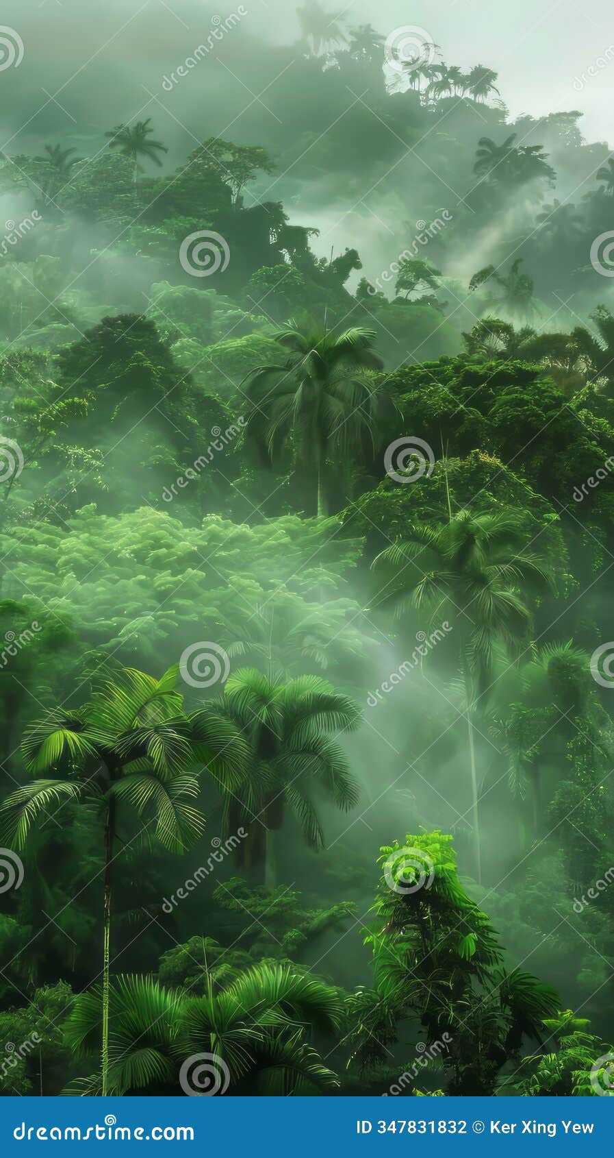 Simple, Clean Lines of Tropical Rainforest. Stock Illustration ...