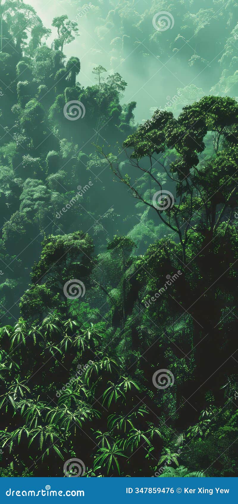 Simple, Clean Rainforest in Minimalism. Stock Illustration ...