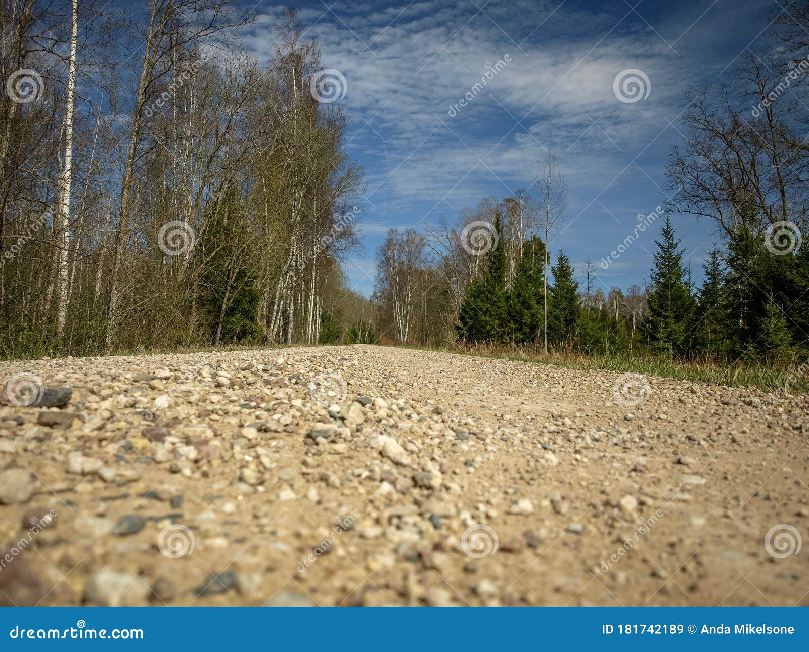 A Simple Country Road, the First Bright Spring Greenery, the First ...
