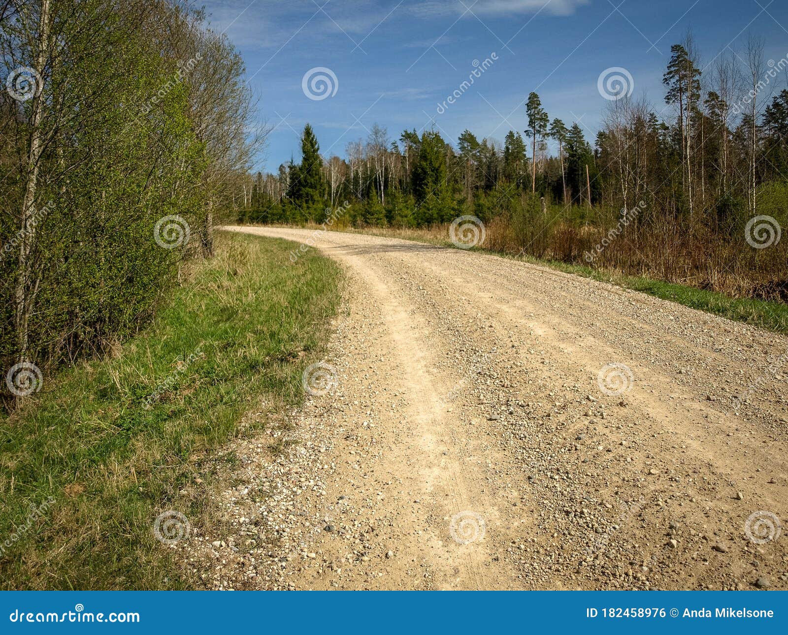 A Simple Country Road, the First Bright Spring Greenery, the First ...