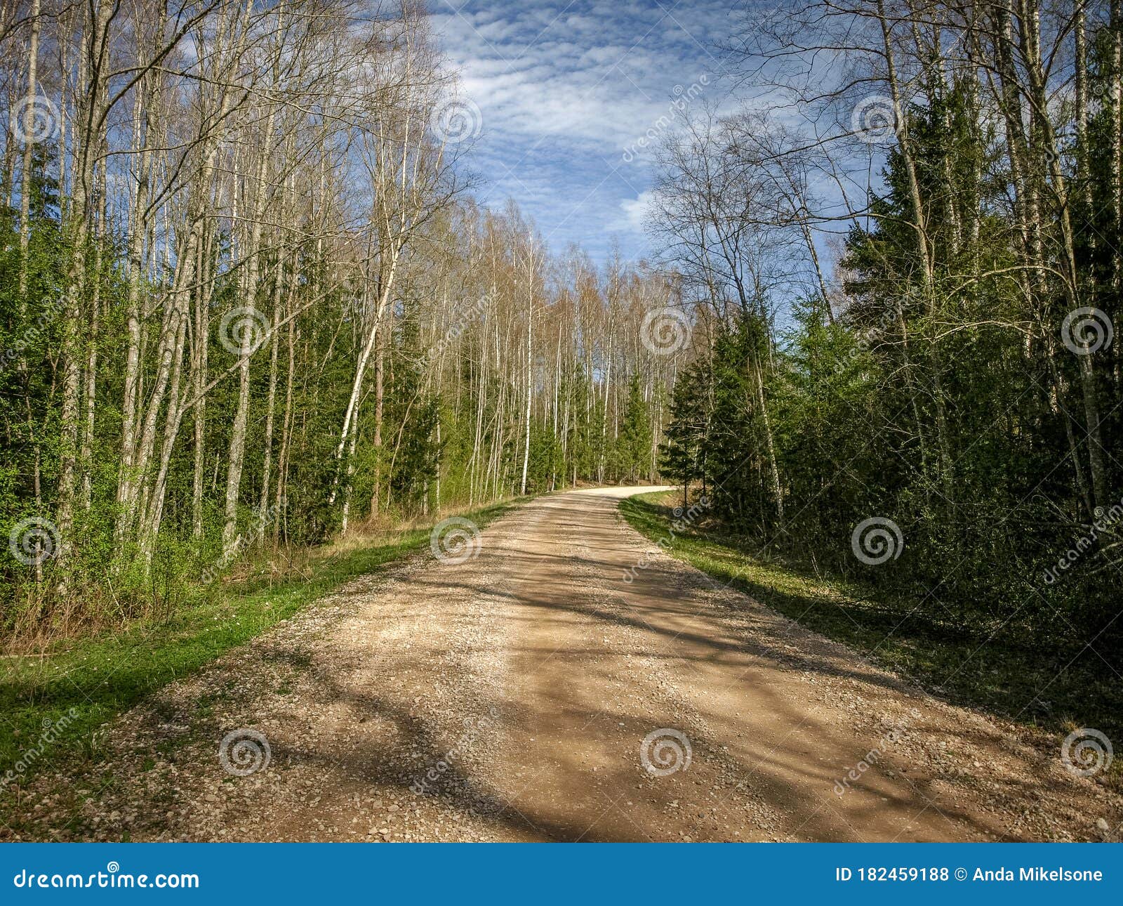 A Simple Country Road, the First Bright Spring Greenery, the First ...