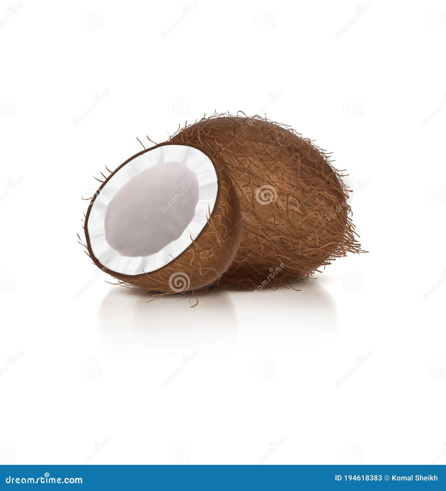 Simple Creative Coconut Illustration Minimal Art Design Stock ...