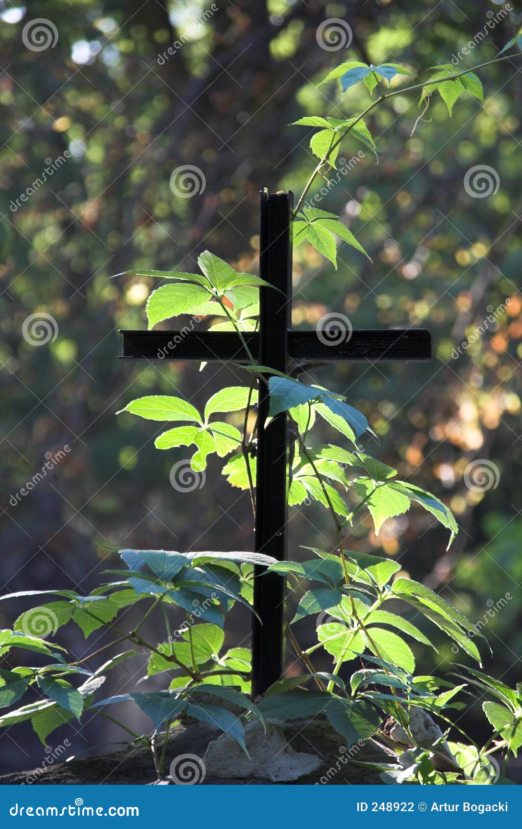 Simple Cross stock photo. Image of symbolic, faith, bless - 248922