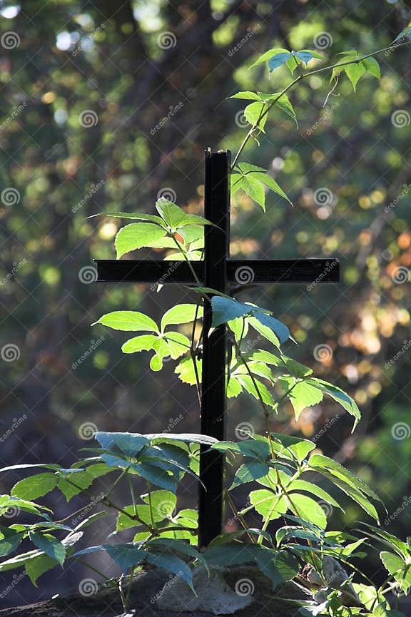 Simple Cross stock photo. Image of symbolic, faith, bless - 248922