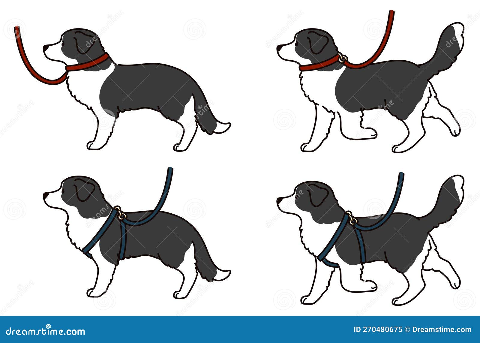 Simple and Cute Hand Drawn Border Collie with Leash and Harness Stock ...