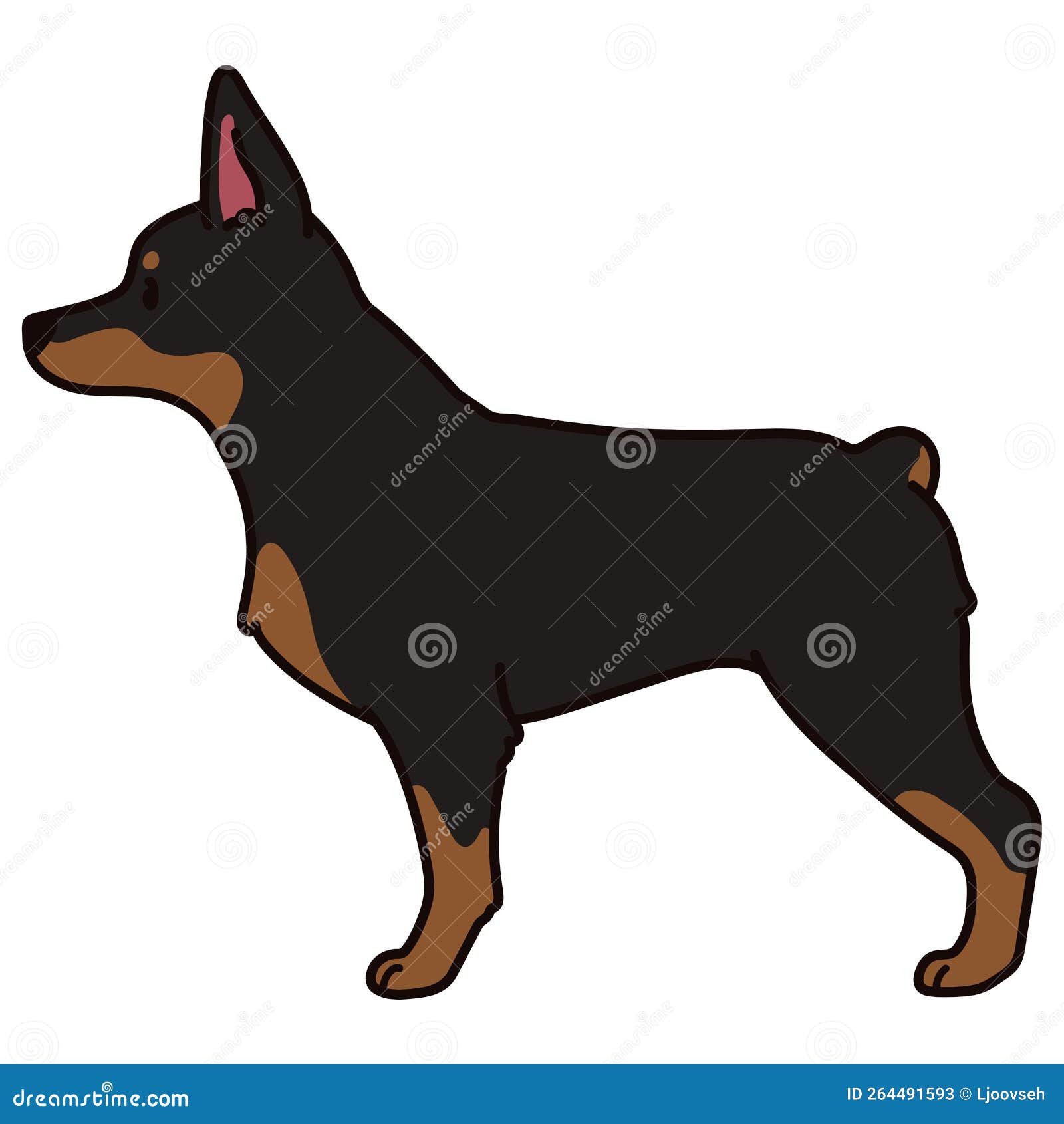 Simple and Cute Illustration of Doberman Pinscher in Side View Stock ...