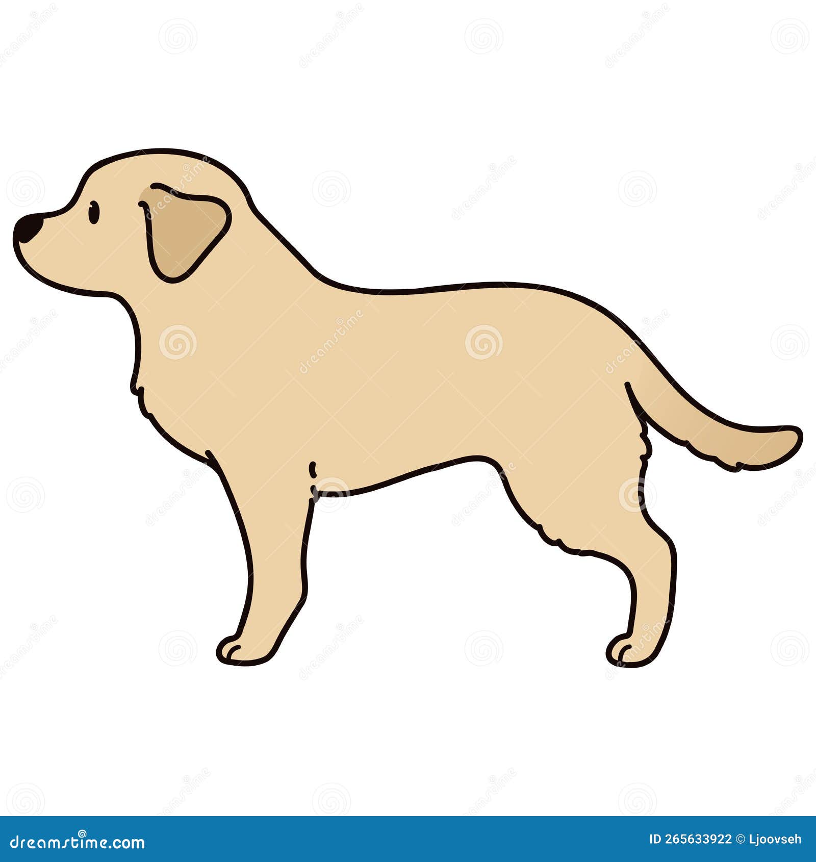 Simple and Cute Illustration of Labrador Retriever in Side View Stock ...