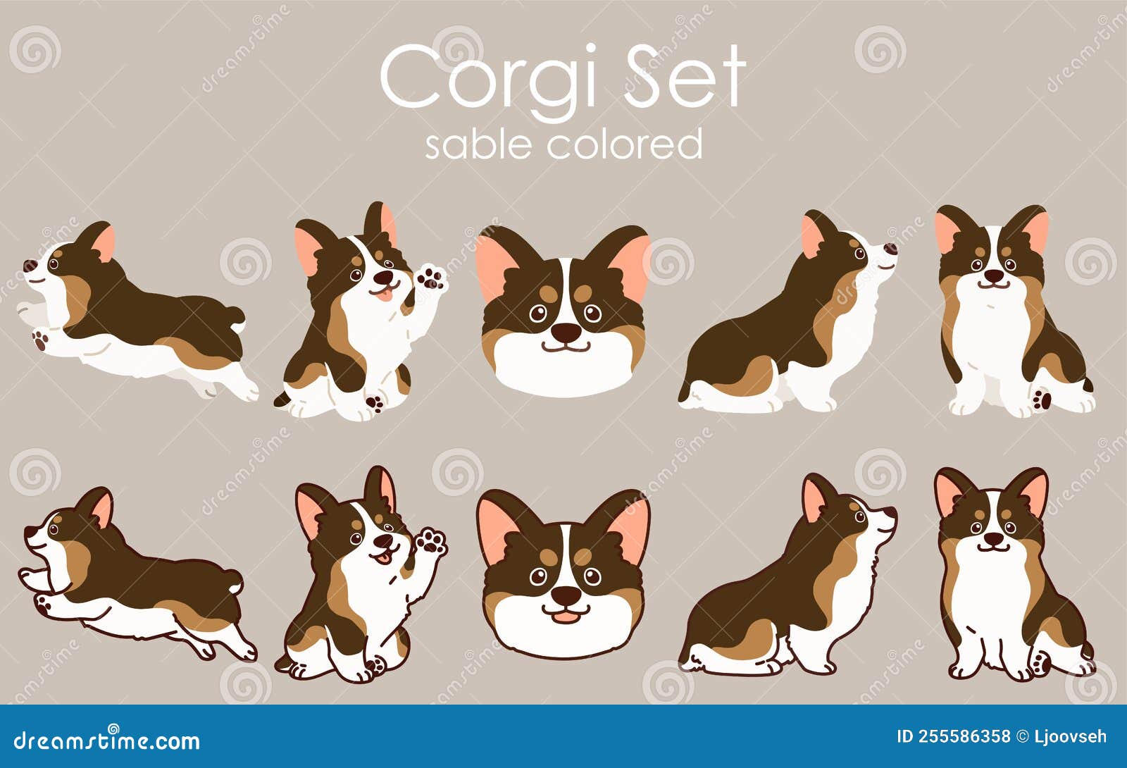 Simple and Cute Sable Colored Corgi Dog Illustrations Set Stock Vector ...