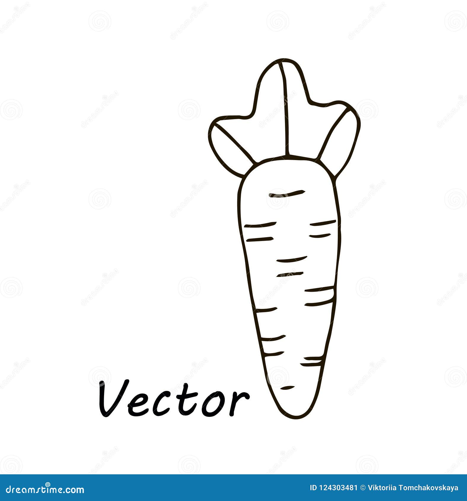 Simple Cute Vector Drawing Carrot For Coloring, For Children Design And ...