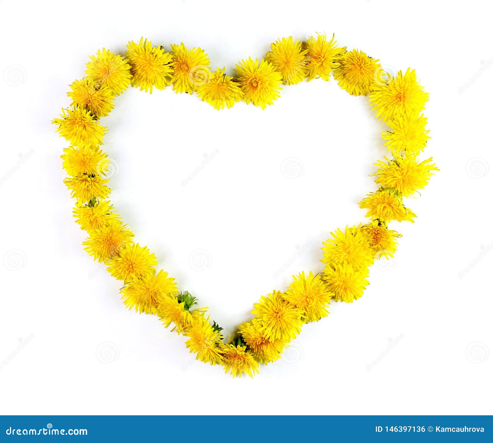 Simple Dandelions Heart Isolated on White Background Stock Photo ...