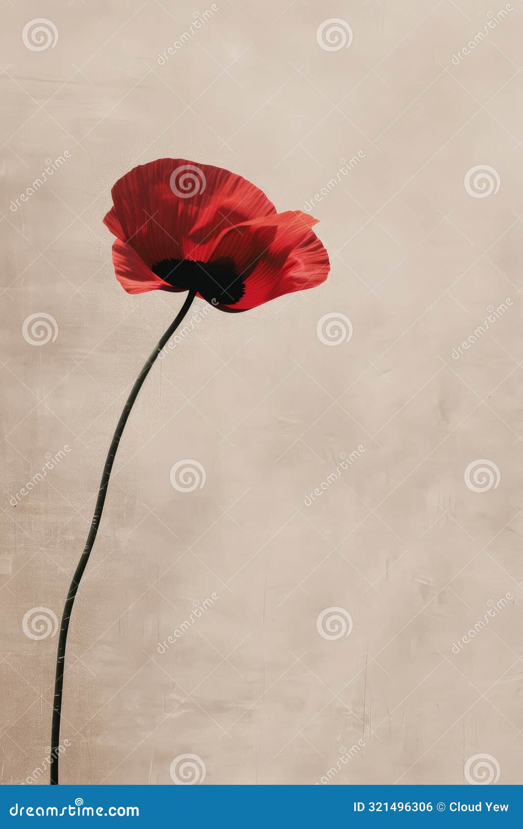 Simple Design Featuring a Single Red Poppy. Stock Illustration ...