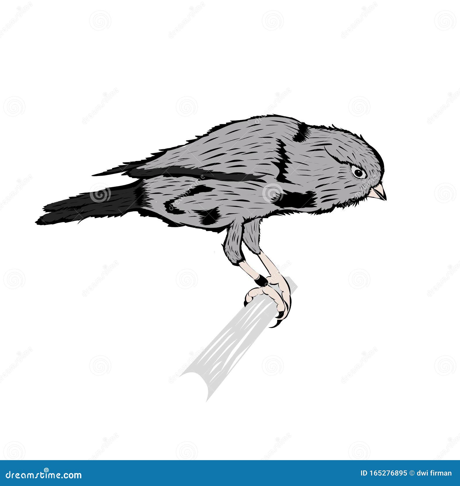 Bird Canary Line Art Modern Colorful Logo Design Vector Icon Symbol ...