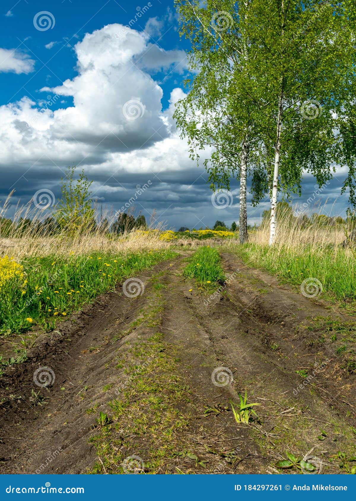 A Simple Dirt Road, Clay New and Old Grass, Spring Landscape Stock ...