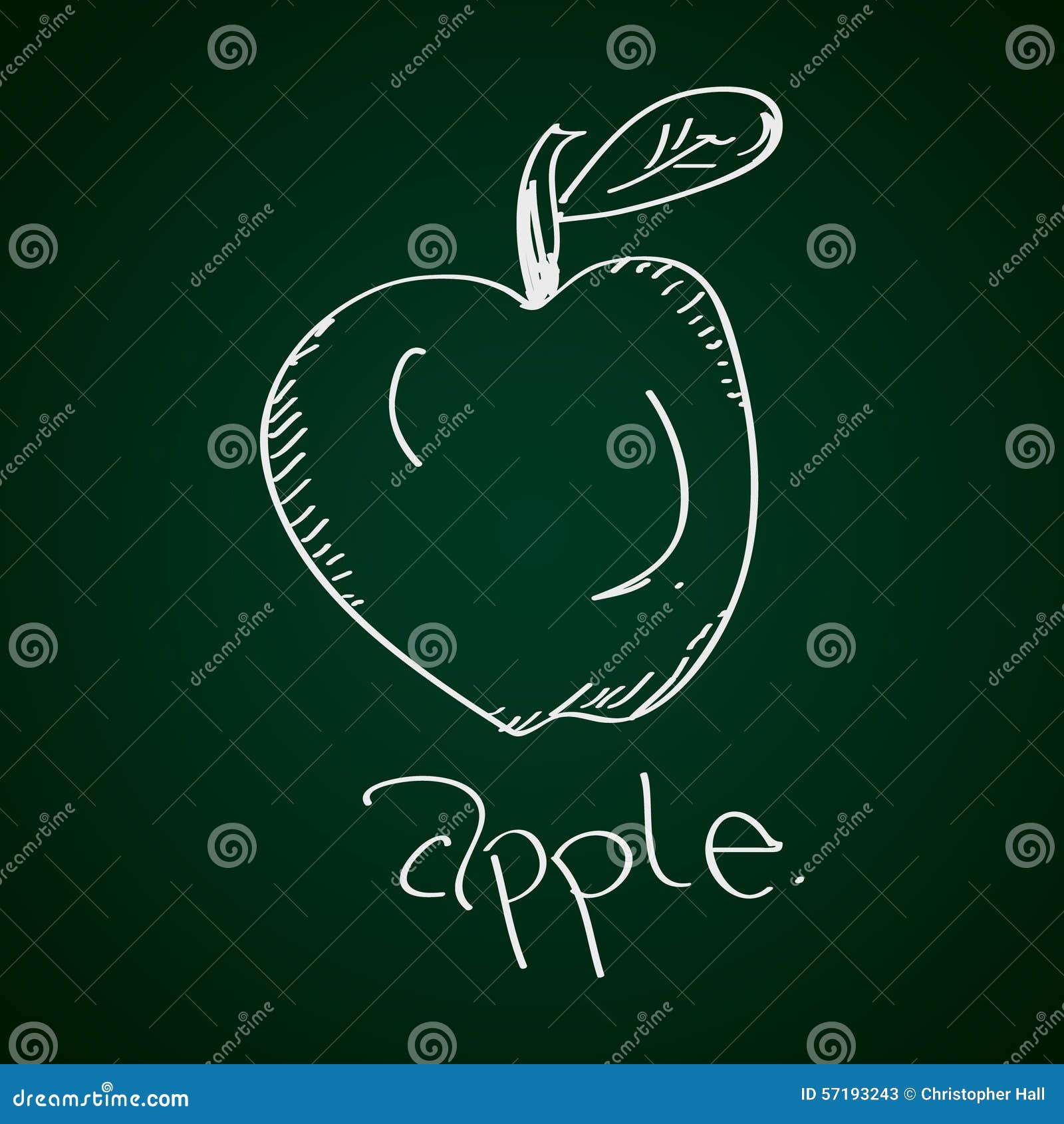 Simple doodle of an apple stock vector. Illustration of doodle - 57193243