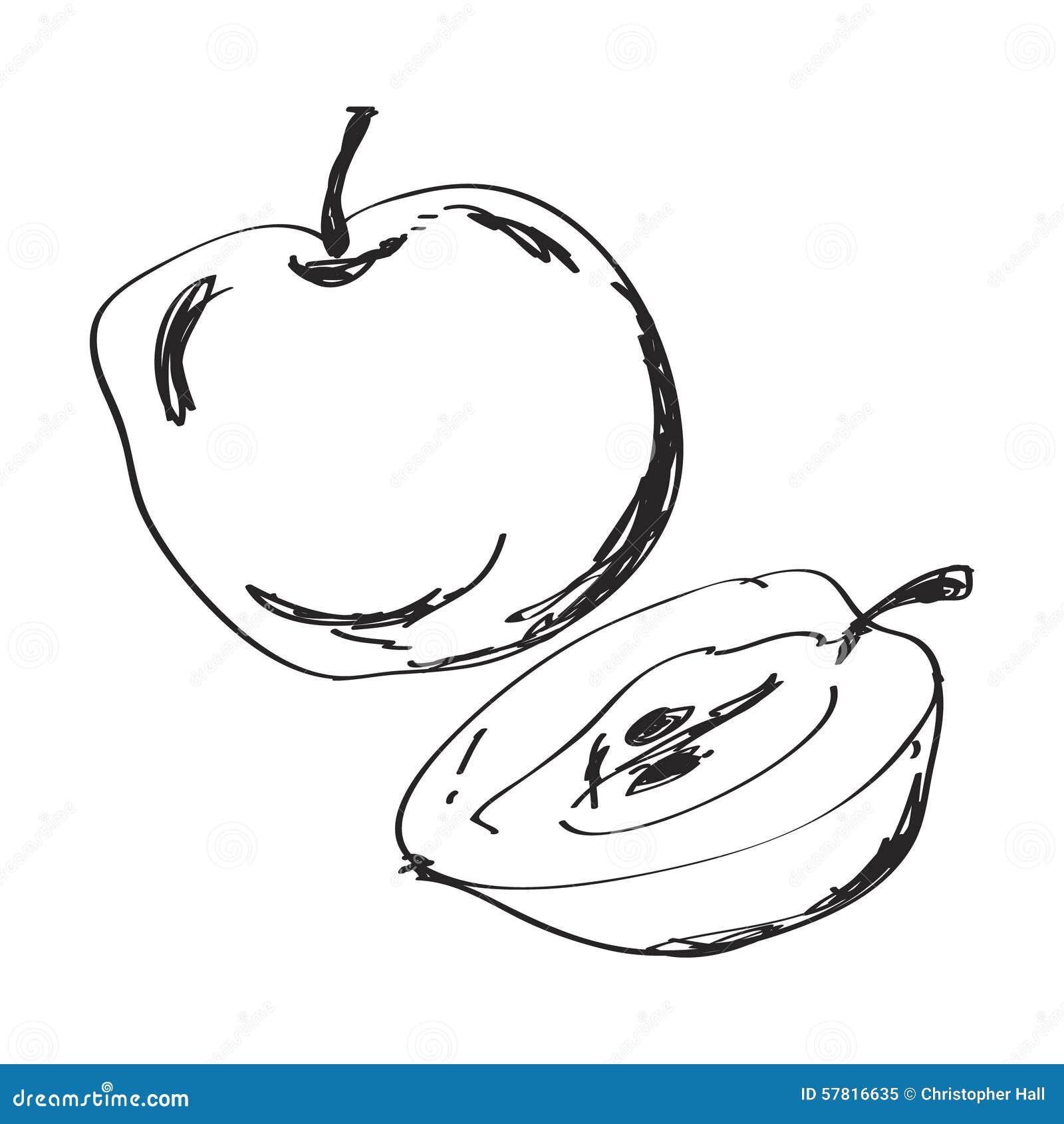 Simple doodle of an apple stock vector. Illustration of diet - 57816635