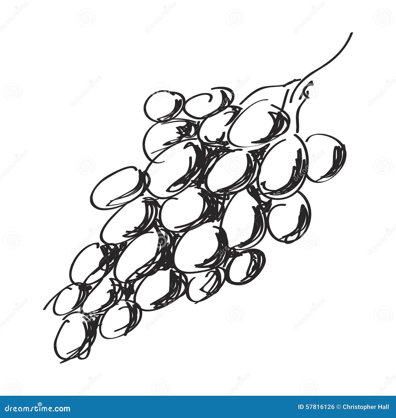 Simple Doodle of a Bunch of Grapes Stock Vector - Illustration of drawn ...