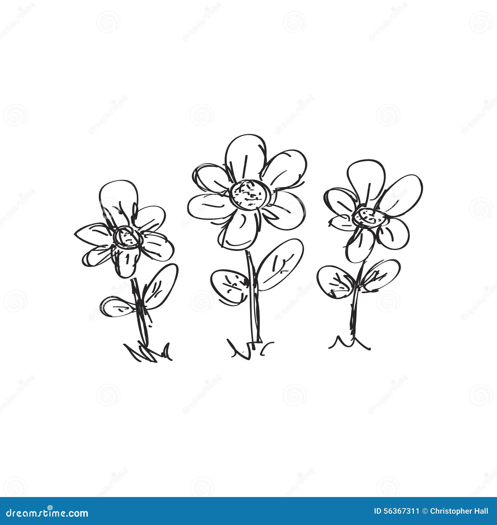 Simple doodle of a flower stock vector. Illustration of nature - 56367311