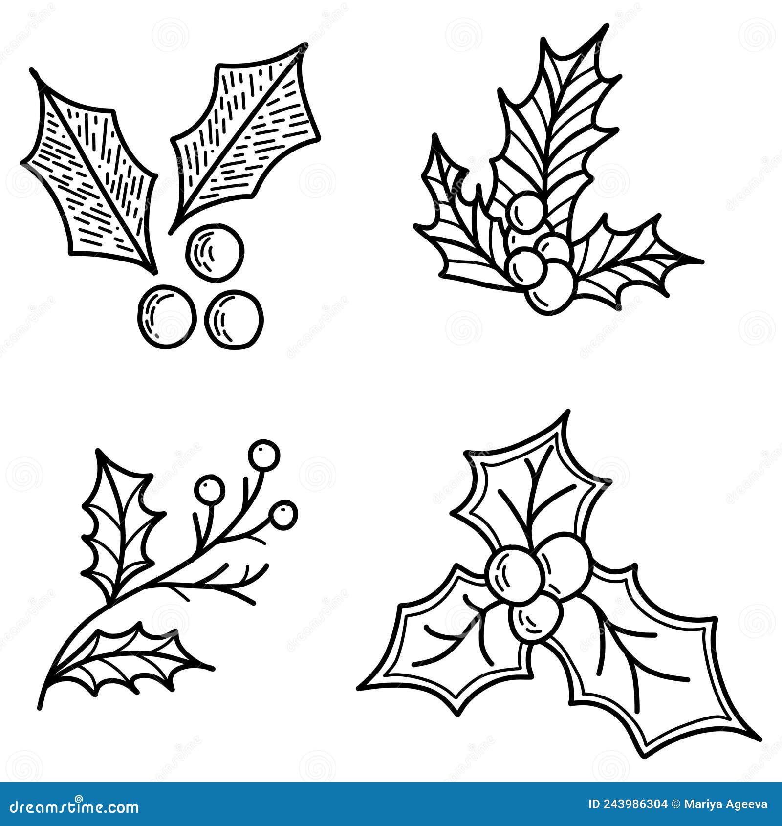 Simple Doodle Illustration of Holly Stock Vector - Illustration of ...