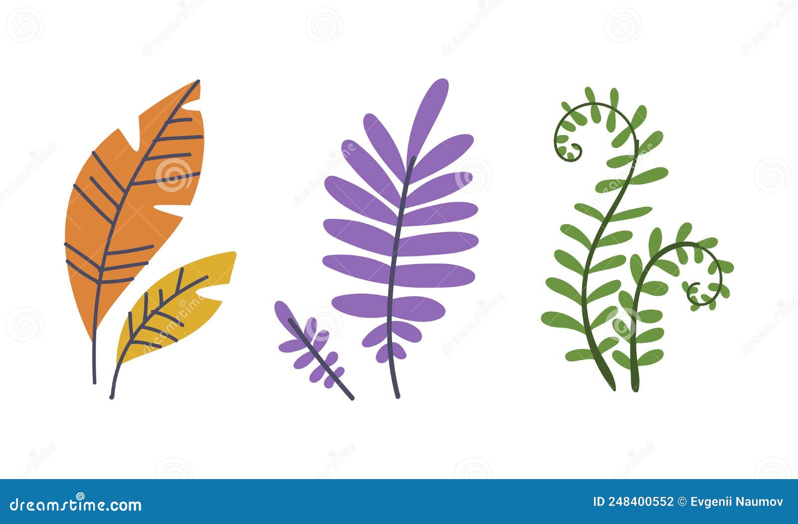 Simple Doodle Leaf of Plant on Stem Isolated on White Background Vector ...