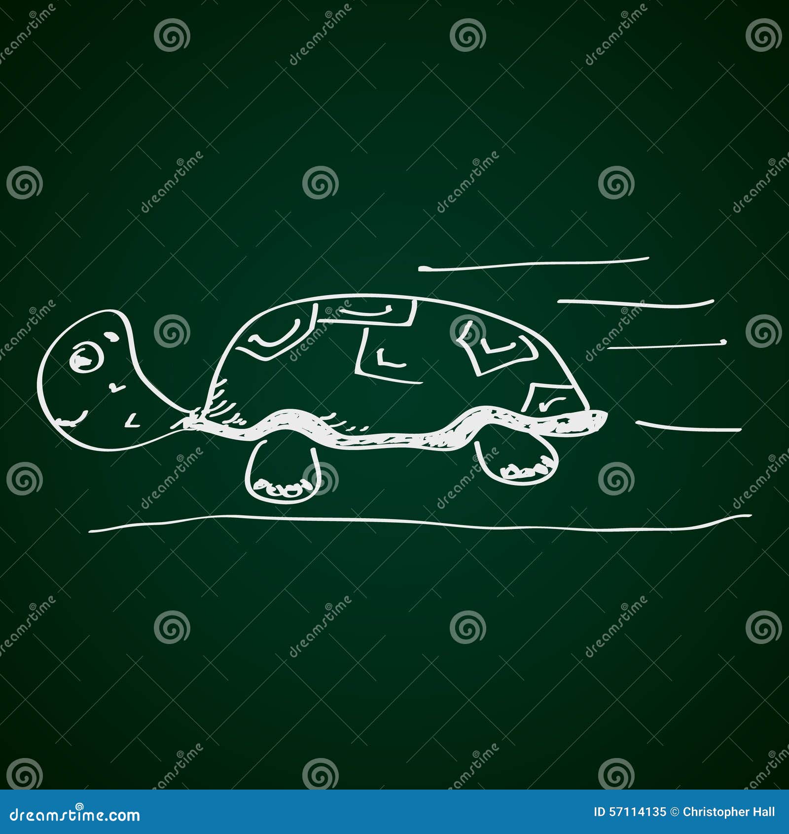 Simple Doodle of a Tortoise Stock Vector - Illustration of reptile ...