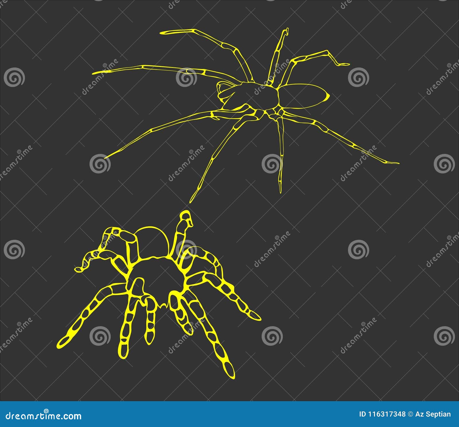 How To Draw Spider, Step By Step Lesson For Kids, Cute Tarantula ...