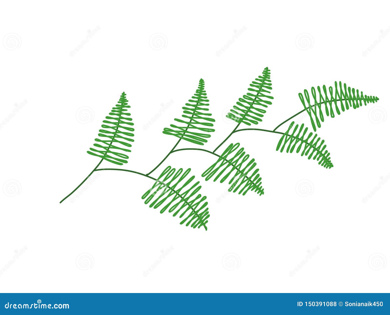 Pine Leaf Micrograph Stock Photography | CartoonDealer.com #114555866